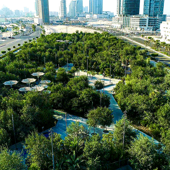 Private: Private: Private: Private: projectsDraftMehra – Bunya